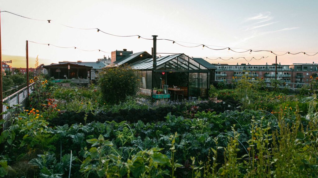 Satopia Perspective Newsletter March 2024 | Satopia Travel